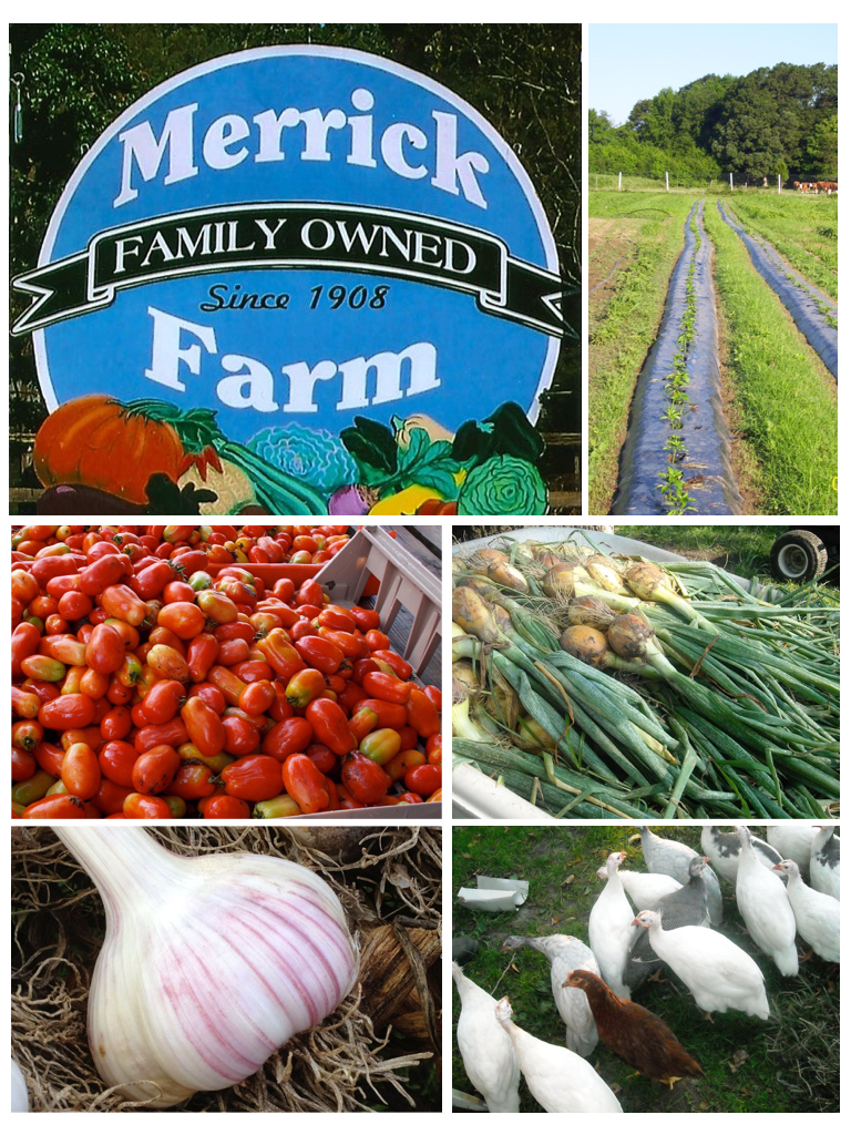 Join Chef Marilyn Schlossbach to Support Merrick Farm